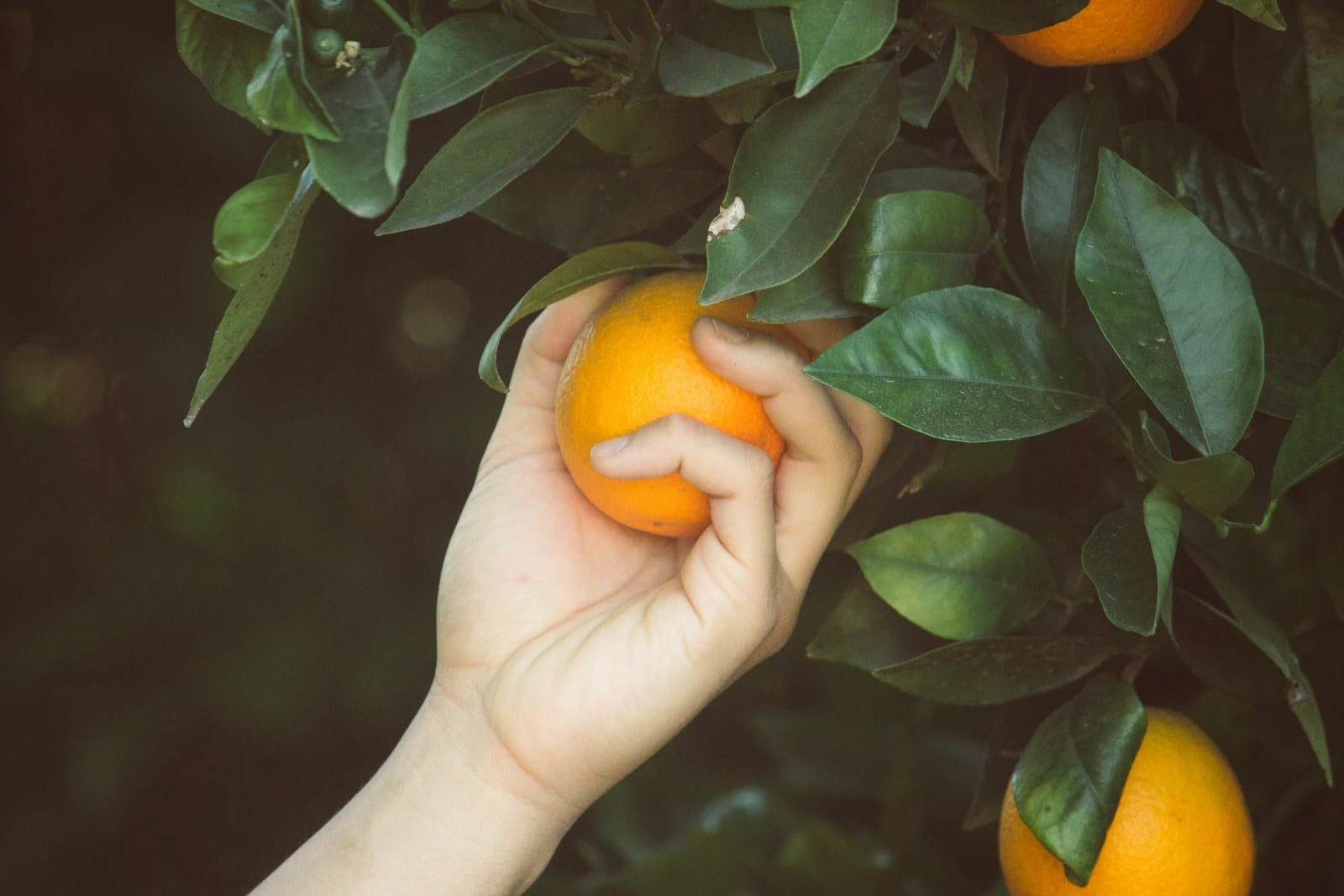 good | English for the Planet