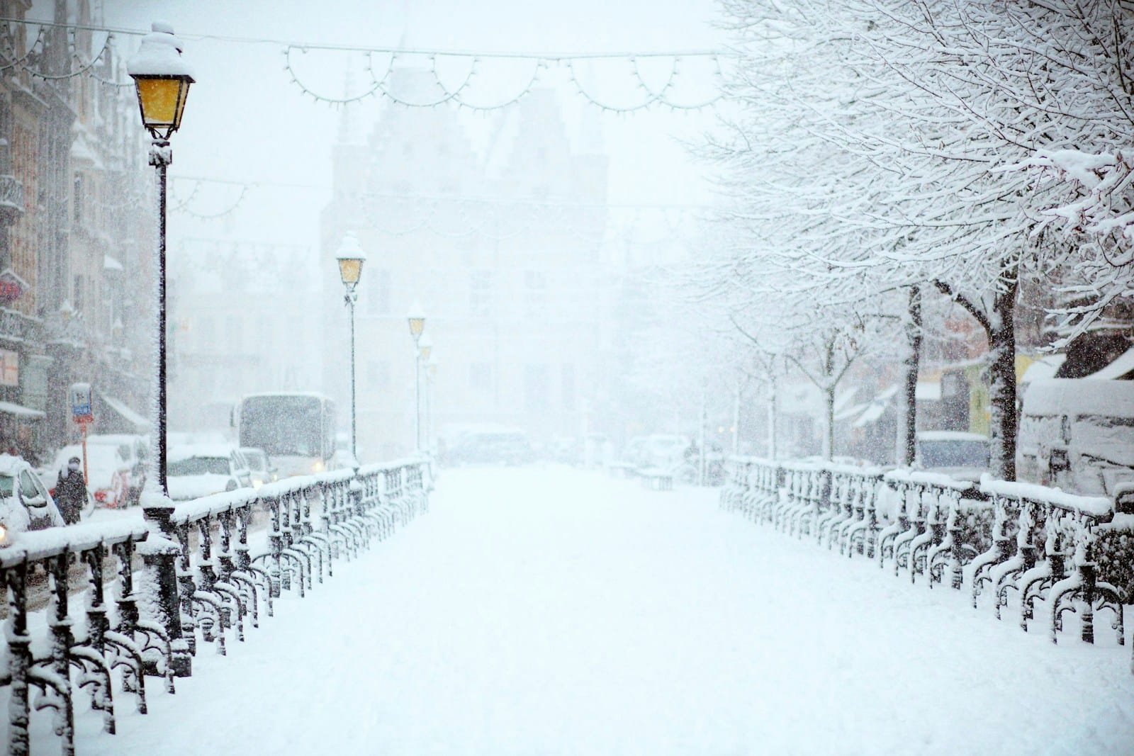 cold | English for the Planet